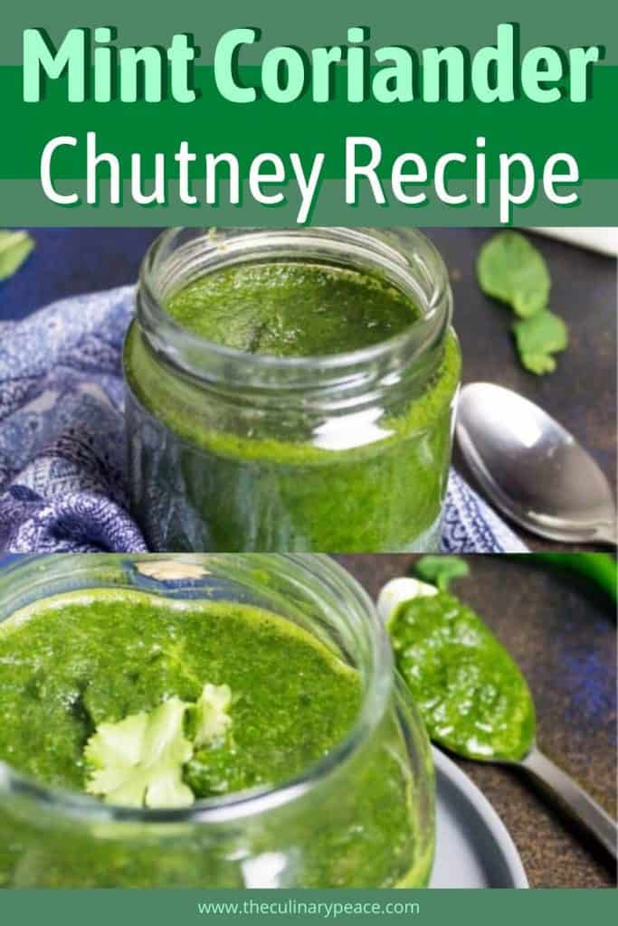 Mint Coriander Chutney Recipe – The Culinary Peace